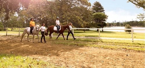 Stories - Equestrian Code of Practice - Centennial Parklands