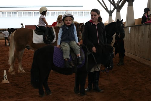 Things to see and do - Centennial Parklands - Kids Activities ...