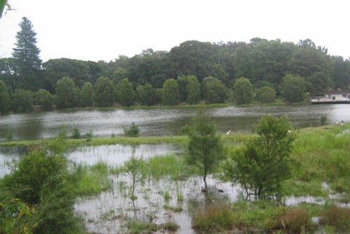 Visit - Our Parks - Centennial Park - Fly Casting Pond - Centennial ...