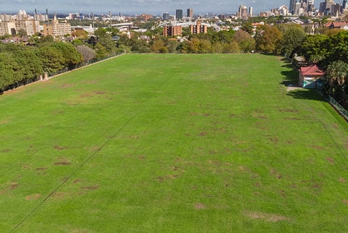 Reservoir Fields - Centennial Park - Centennial Parklands