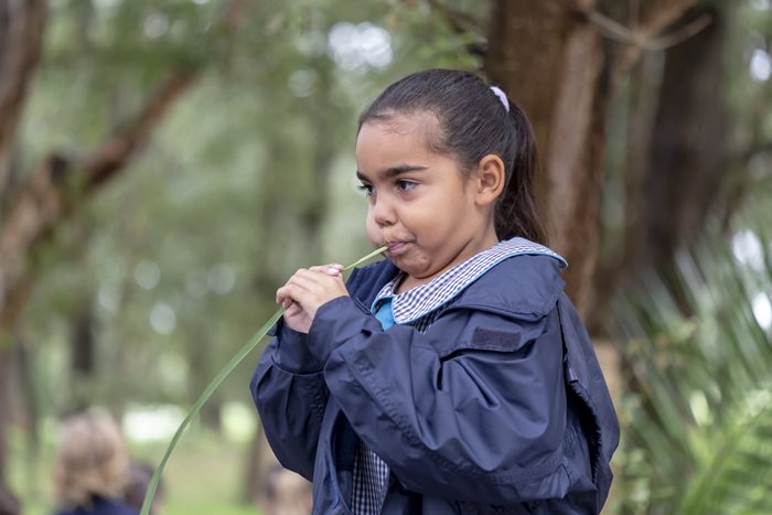 Learn - School programs - Centennial Parklands