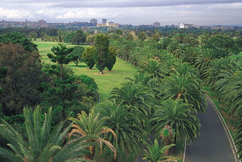 Visit - Centennial Parklands - Environment - Centennial Parklands