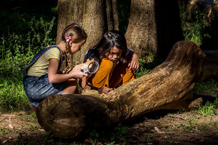 Learn - Nature Play - Centennial Parklands