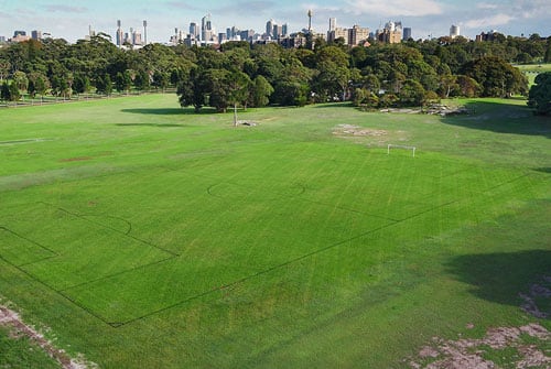 Brazilian Fields - Centennial Park - Centennial Parklands