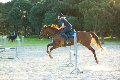 Moore Park - Centennial Parklands