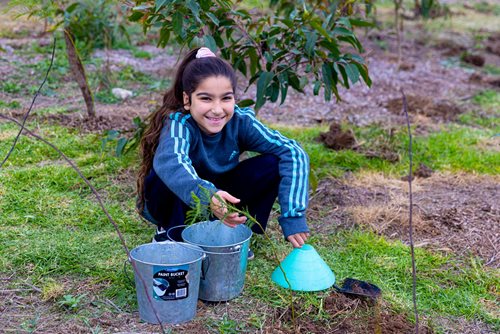 Learn School Programs School Volunteering Centennial Parklands