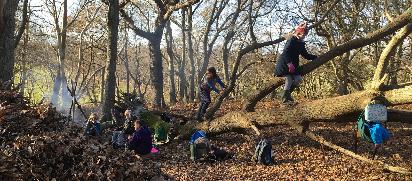 Stories - the nature of learning - Centennial Parklands