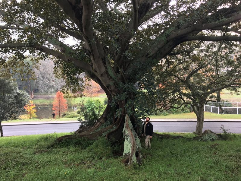 Official site of Centennial Parklands