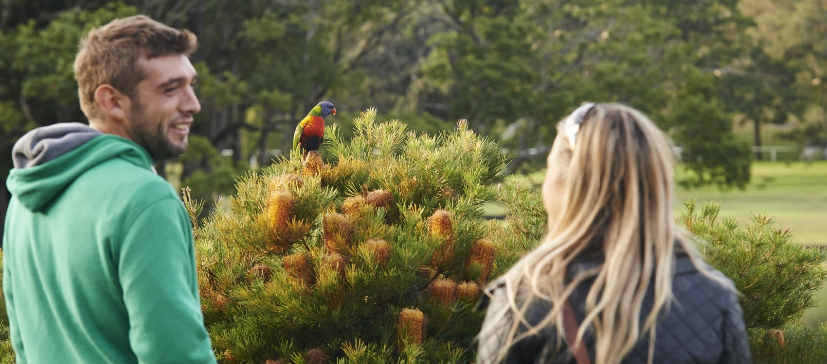 Stories - What is twitching and why should you try it? - Centennial ...