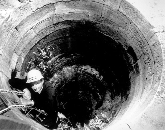 Stories - 5 things you didn’t know about Centennial Park’s ponds ...