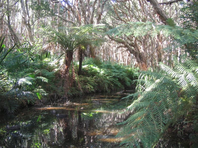 Official site of Centennial Parklands