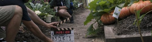 Stories - Be the first to see Peter Rabbit - Centennial Parklands