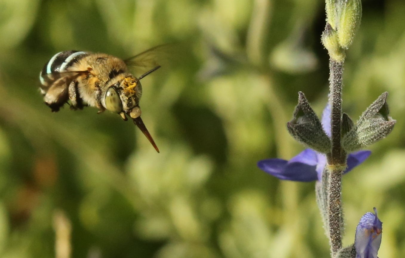 Stories - Centennial Parklands
