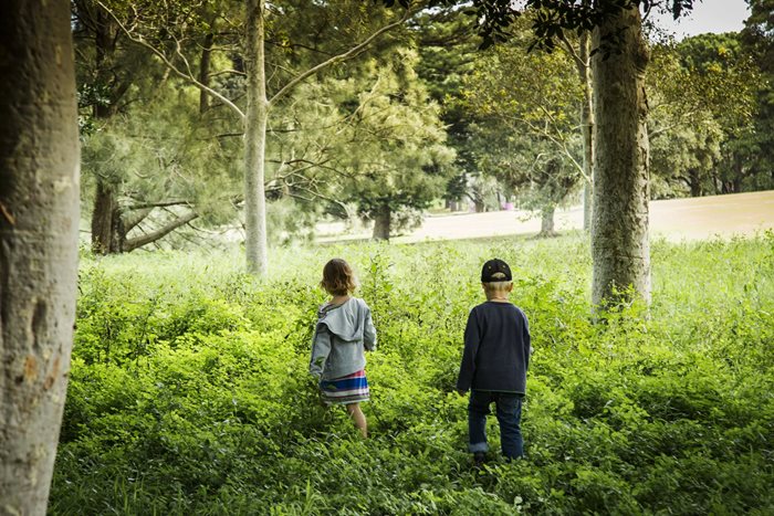 Learn - School programs - Centennial Parklands