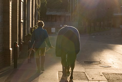 The Centennial Parklands Equestrian Centre - online forms - Centennial ...