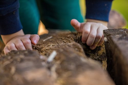 Learn - Nature Play - Centennial Parklands