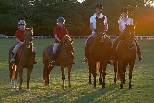 The Centennial Parklands Equestrian Centre - FAQs - Centennial Parklands