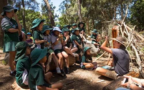 Learn - Nature Play - Bush School Bundle - Centennial Parklands