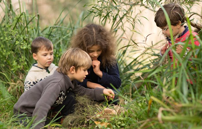 Learn - School programs - Centennial Parklands